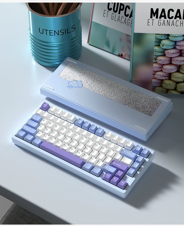 Mechanical Keyboards – Sunchelle Switches